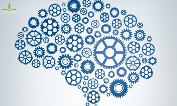 What is a Single-Minded Proposition, and Why Does It Matter?